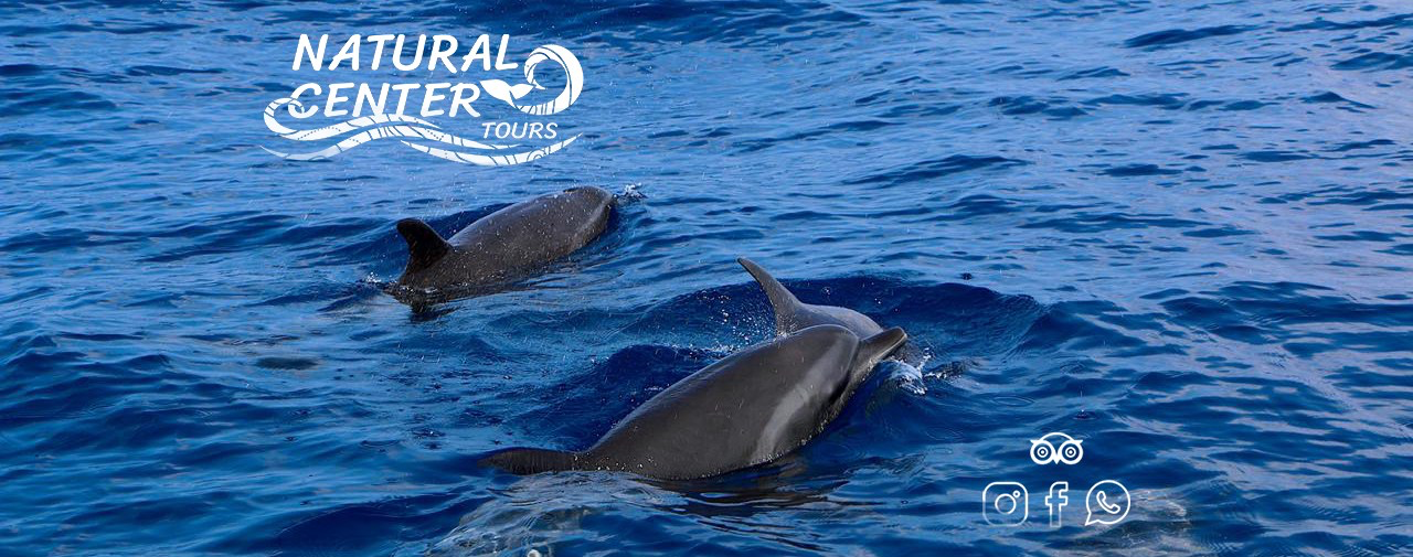 Natural Center Tours – Cámara de Turismo Sámara